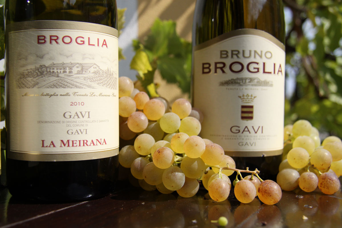 Contacts - Broglia